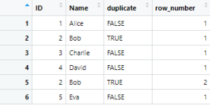 Identify, Remove and Tag Duplicate Observations in R | The Data Hall
