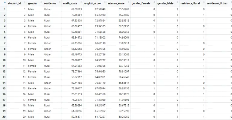Creating dummy variables in R | The Data Hall